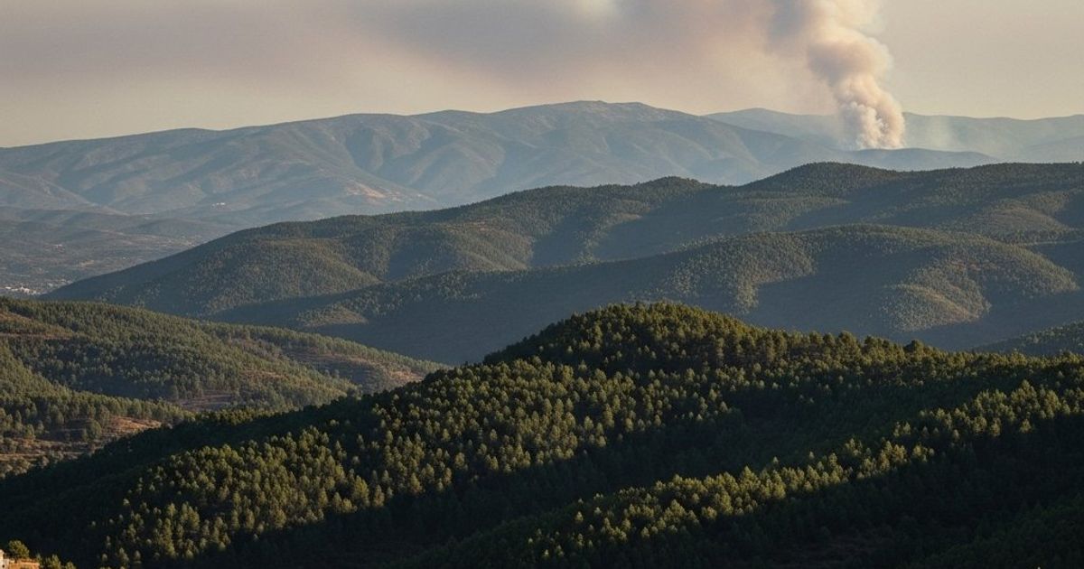 2025 Portugal wildfires: safety & travel tips for expats
